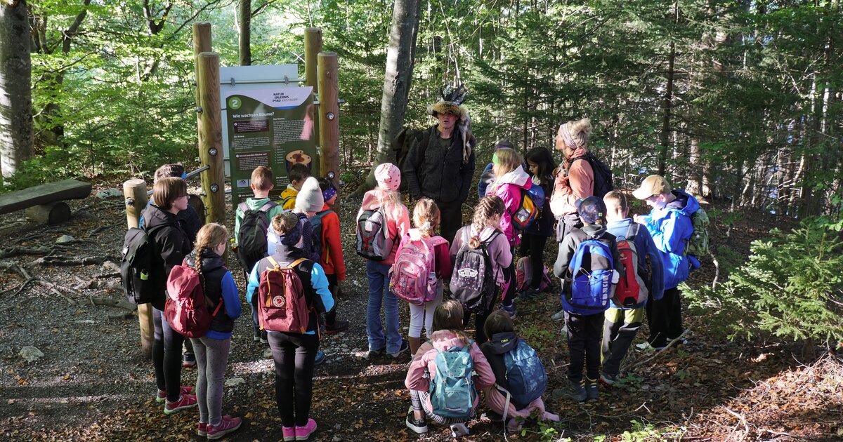 Schulpaket Wald & Klima - eine Abenteuerreise am Golm im Montafon